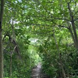 Magens Bay Beach Trail, Saint Thomas, US Virgin Islands - 307 Reviews ...