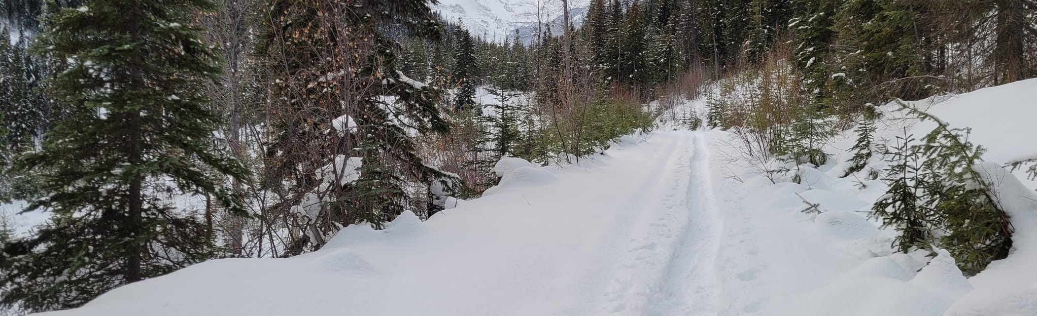 Delphine Creek Forest Service Road: 16 Fotos - British Columbia, Kanada ...
