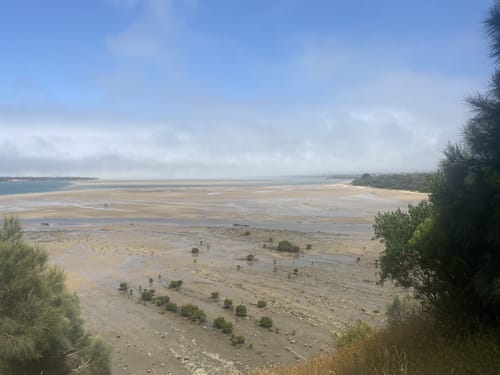 Best Hikes and Trails in Anderson Inlet Coastal Reserve | AllTrails