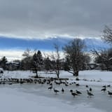 Niwot Loop Trail, Colorado - 462 Reviews, Map | AllTrails