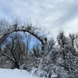 Niwot Loop Trail, Colorado - 462 Reviews, Map | AllTrails