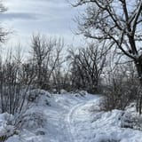 Niwot Loop Trail, Colorado - 462 Reviews, Map | AllTrails