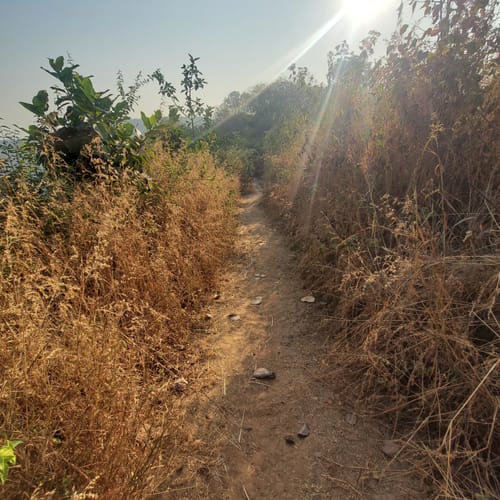 Los mejores senderos y rutas en Baner-Pashan Biodiversity Park | AllTrails