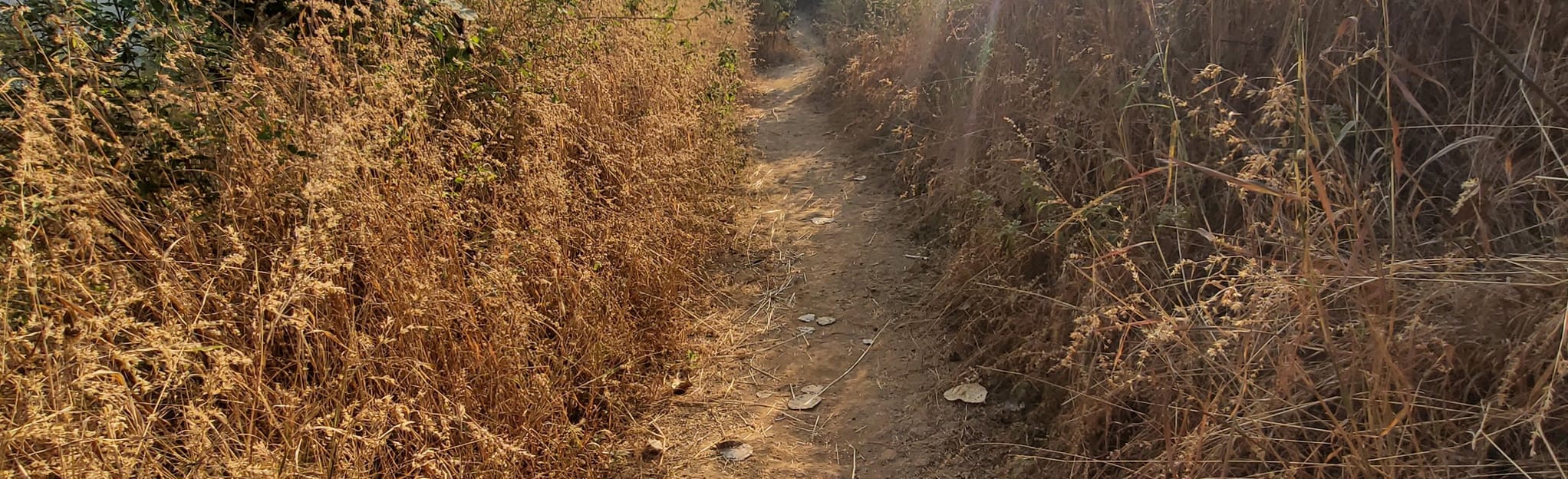 Baner and Pashan Hill Trail, Maharashtra, India - 15 Reviews, Map ...