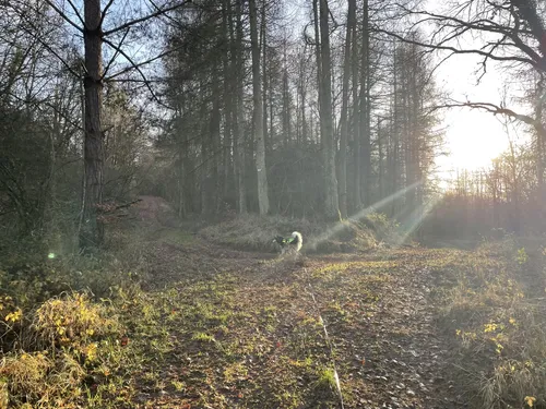 Best Hikes and Trails in Réserve Naturelle de Montenach | AllTrails