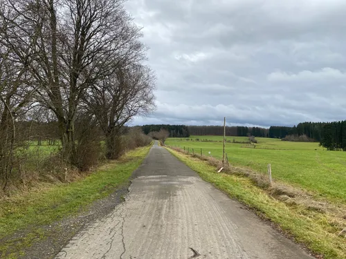 De 10 beste wandelroutes om te wandelen in Erezée | AllTrails