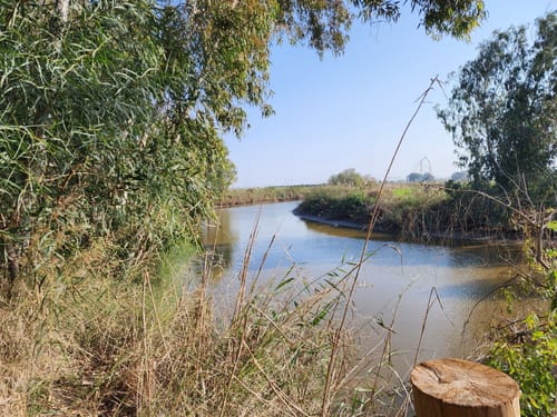 2023 Best Easy Trails in Alexander River National Park | AllTrails