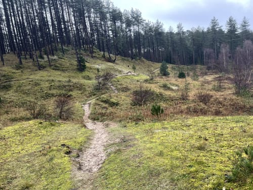 Best Hikes and Trails in Raven Point Nature Reserve | AllTrails