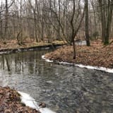 Genesee County Park and Forest Trail, New York - 284 Reviews, Map ...