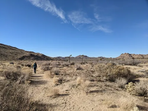 Best Horseback Riding Trails in Joshua Tree | AllTrails