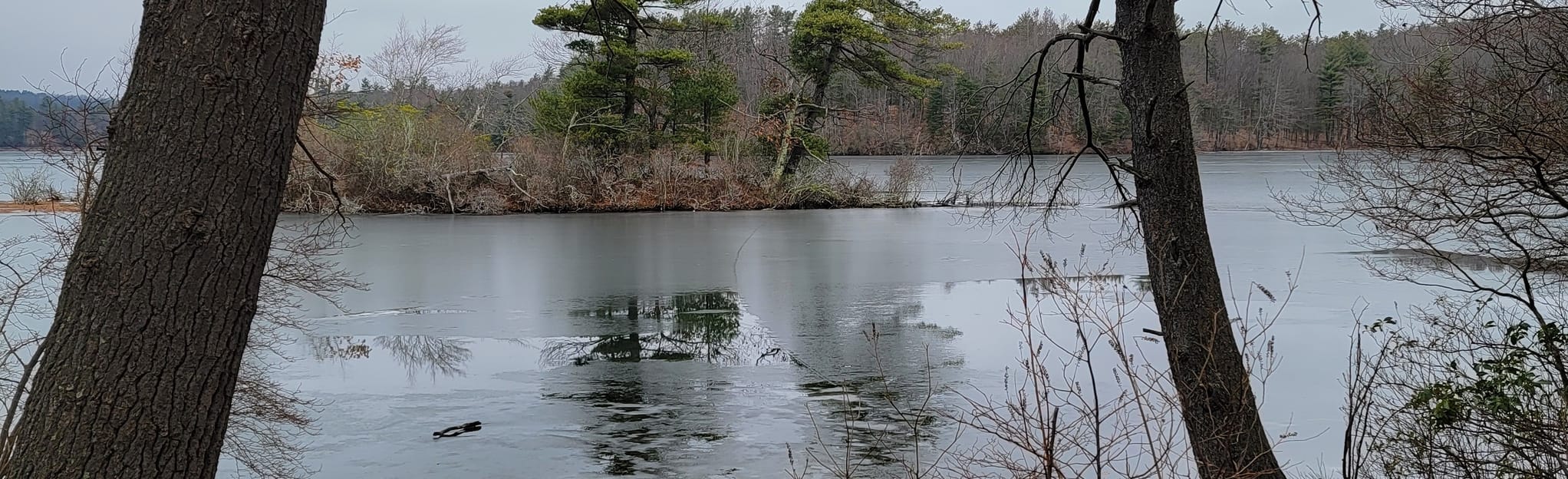 Redemption Rock and Wachusett Reservoir Loop: 14 Reviews, Map ...