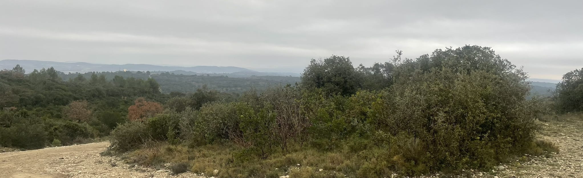 Combas - Bois des Lens, Gard, France - Map, Guide | AllTrails