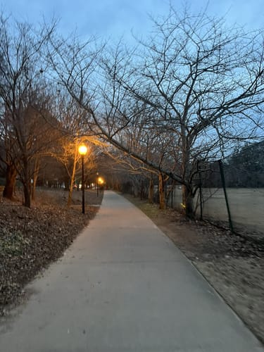 Best Hikes and Trails in Chastain Memorial Park | AllTrails