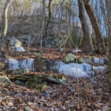 Upper Guild Trail, Tennessee - 481 Reviews, Map | AllTrails