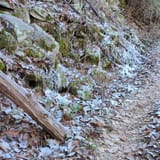 Upper Guild Trail, Tennessee - 481 Reviews, Map | AllTrails