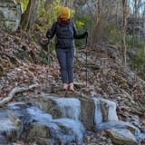 Upper Guild Trail, Tennessee - 481 Reviews, Map | AllTrails