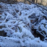 Upper Guild Trail, Tennessee - 470 Reviews, Map | AllTrails