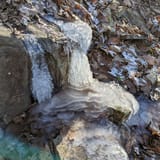 Upper Guild Trail, Tennessee - 470 Reviews, Map | AllTrails