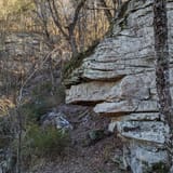 Upper Guild Trail, Tennessee - 470 Reviews, Map | AllTrails