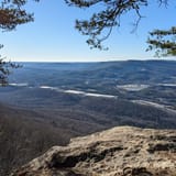 Upper Guild Trail, Tennessee - 470 Reviews, Map | AllTrails