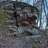 Upper Guild Trail, Tennessee - 470 Reviews, Map | AllTrails