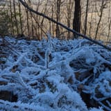 Upper Guild Trail, Tennessee - 470 Reviews, Map | AllTrails