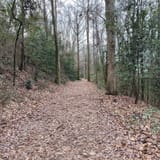 Vulcan Trail, Alabama - 539 Reviews, Map | AllTrails