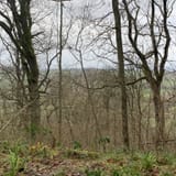 Wenlock Edge Circular, Shropshire, England - 99 Reviews, Map | AllTrails