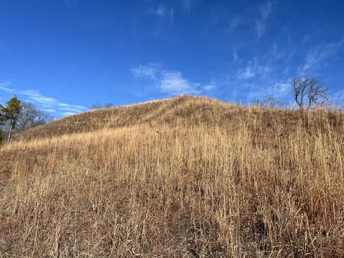 Best Hikes and Trails in Fults Hill Prairie | AllTrails