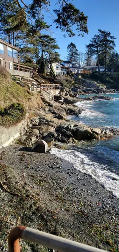 Best Hikes and Trails in Saxe Point Park | AllTrails