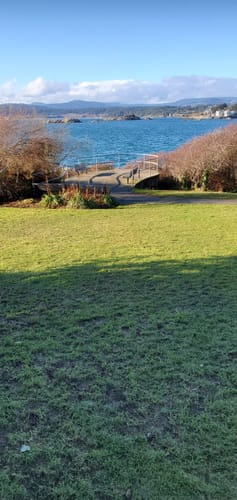 Best Hikes and Trails in Saxe Point Park | AllTrails