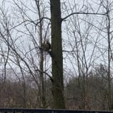 Pufferbelly Trail, Indiana - 459 Reviews, Map | AllTrails