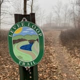 Levee Loop, Pennsylvania - 254 Reviews, Map | AllTrails