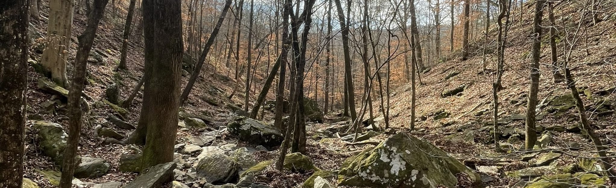 High Bank Twin Falls, Arkansas - 190 Reviews, Map | AllTrails