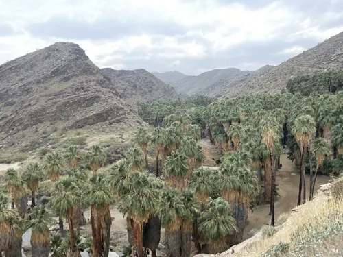10 Best Hikes and Trails in Agua Caliente Band of Cahuilla Indians ...