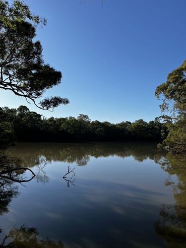 Best Hikes and Trails in Blackburn Lake Sanctuary | AllTrails