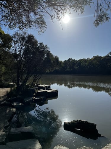 Best Hikes and Trails in Blackburn Lake Sanctuary | AllTrails