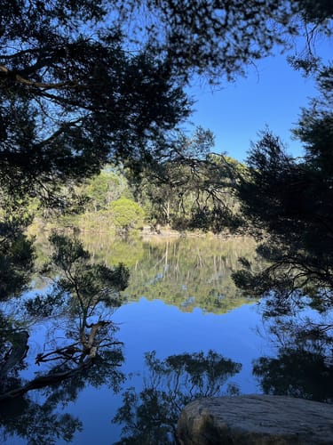 Best Hikes and Trails in Blackburn Lake Sanctuary | AllTrails