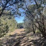 Government Canyon Loop, Texas - 68 Reviews, Map | AllTrails