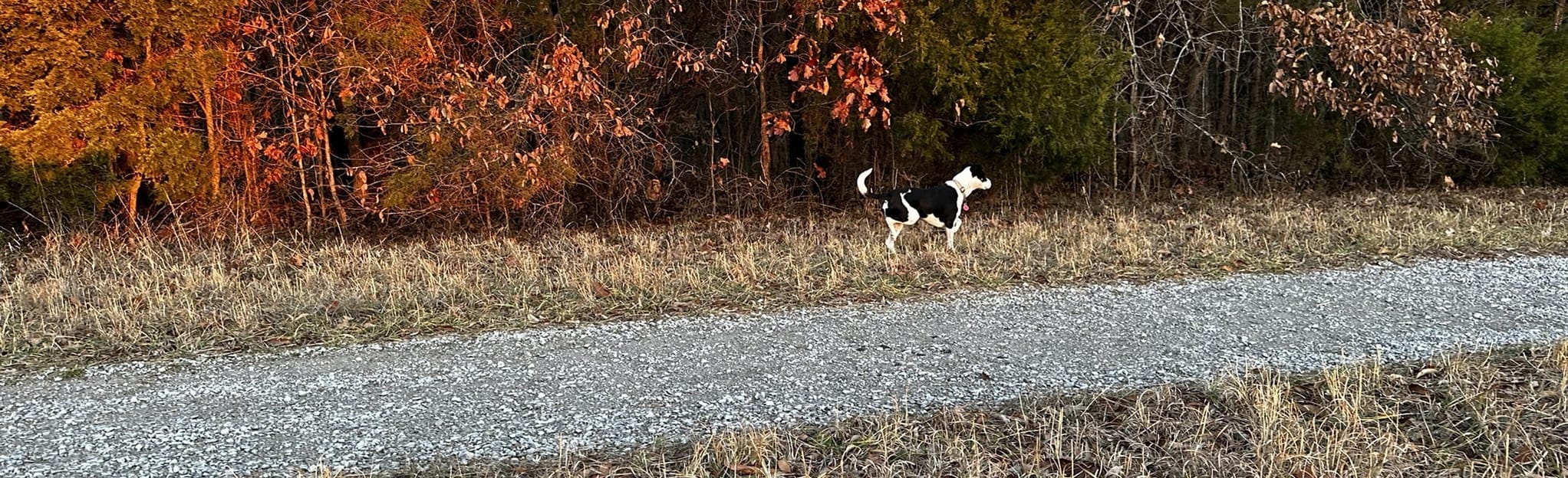 Baker Natural Area Loop: 79 Reviews, Map - Kentucky | AllTrails