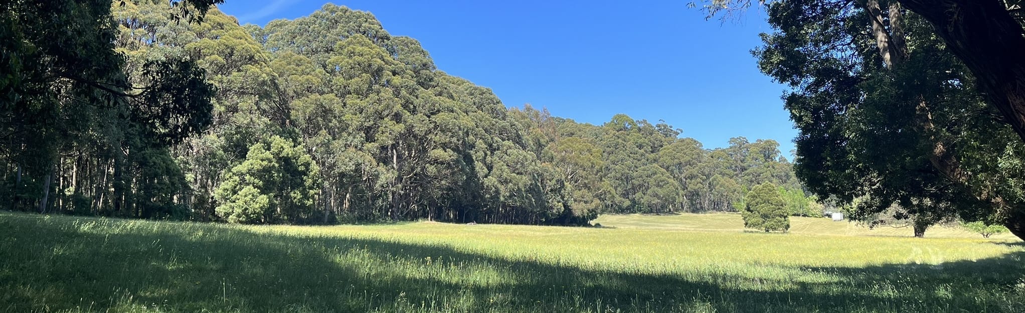 Woodend Explorer, Victoria, Australia - 2 Reviews, Map | AllTrails