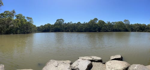 Best Hikes and Trails in Blackburn Lake Sanctuary | AllTrails