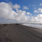 Damon Point State Park Trail, Washington - 476 Reviews, Map | AllTrails