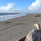 Damon Point State Park Trail, Washington - 476 Reviews, Map | AllTrails
