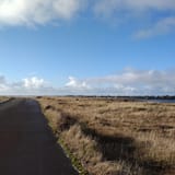 Damon Point State Park Trail, Washington - 476 Reviews, Map | AllTrails