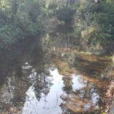 Blacklock Point Trail, Oregon - 334 Reviews, Map | AllTrails