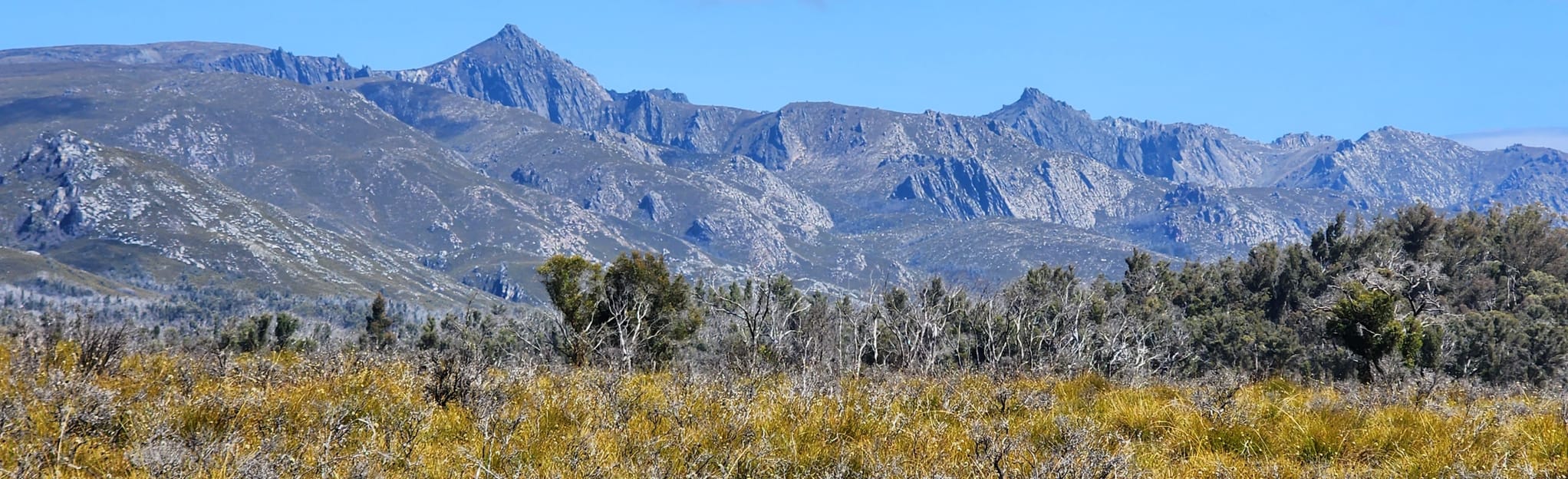 Lake Rhona via Rasselas Track - Tasmania, Australia | AllTrails