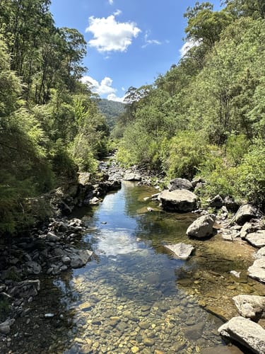 2023 Best 10 Trails and Hikes in Mount Beauty - Tawonga South | AllTrails