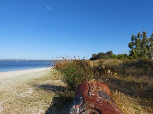 Best Hikes and Trails in Point Walter Reserve | AllTrails