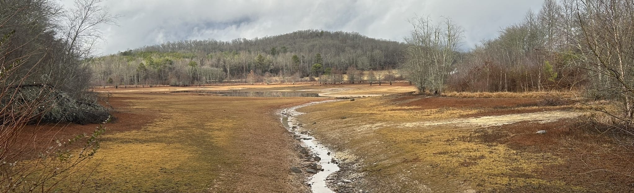 Burrell's Cove and Saba Beach, North Carolina - 112 Reviews, Map ...
